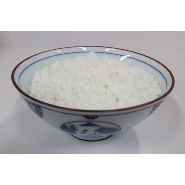 本物の分量に合わせて作った食パンの食品サンプルです。栄養指導、ダイエット、トレーニングなど様々な場面で活用できますごはん250g（420kcal）の分量がひと目で分かります栄養価シール付きです茶碗サイズ　直径140mm×H65mm一つ一つ手...