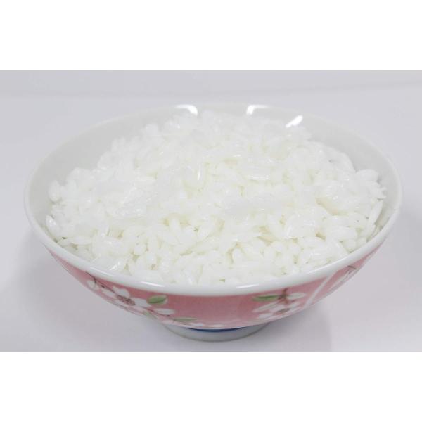 一つ一つ手作りですので着色・盛付けには個体差があります茶碗サイズ　直径118mm×H56mm食器に接着されていませんので似たようなサイズの器に盛り付け可能です。食器の柄は告知なく変わることがございます。