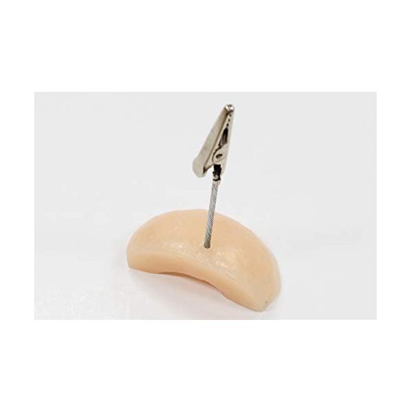 【発売日：2020年01月07日】塩化ビニール製一つ一つ手作りですので着色・盛付けには個体差があります食品サンプルサイズ　約56mm×33mm×H23mmクリップサイズ　約82mm〜85mm（食品サンプルに差し込むと約10mm短くなります）...