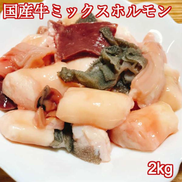 【九州産】安心の国産牛 ミックスホルモン 500g×4個【国産 ミックスホルモン ホルモンミックス ミックス ホルモン 牛ホルモン ミックス ホルモン鍋 もつ鍋  スタミナ 焼肉 焼き肉 国産 2kg 業務用 詰め合わせ まとめ買い】
