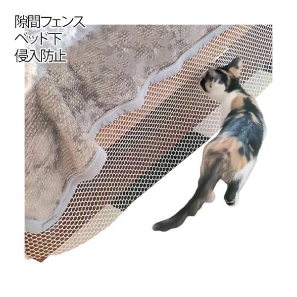 幅20cm長さ6m　幅30cm長さ6m　※サイズ計測には誤差が生じます。