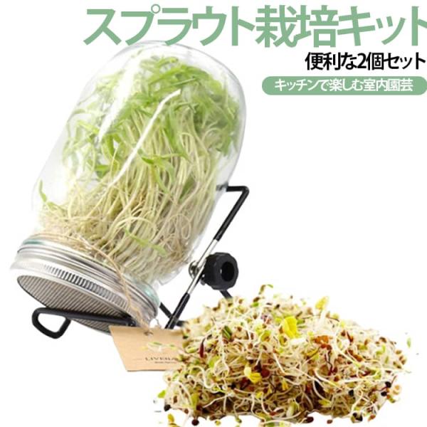 商品名:2点セット 発芽ガラス*1＋スタンド*1 スプラウト栽培キット 水耕栽培 発芽栽培容器 種子発芽成長セット メイソンジャー ガラス瓶 スタンド付き キッチン テンレススタンド フィルター蓋 ブロッコリースプラウト 野菜 豆苗 斜め置...