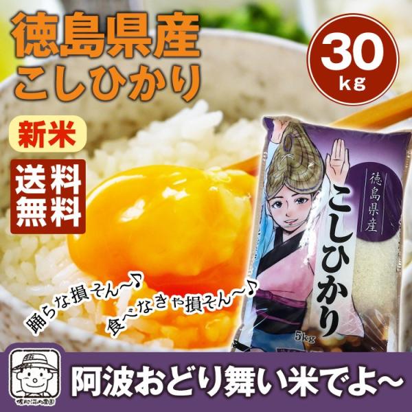 令和8年度【送料無料】 徳島県産コシヒカリ　30ｋｇ徳島夏の風物詩、阿波踊りがお米になりました。