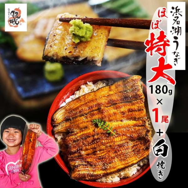 国産うなぎの最高峰 浜名湖うなぎ 大蒲焼160g＋白焼き120gギフト【送料無料】誕生日プレゼント 父の日　お中元　敬老の日