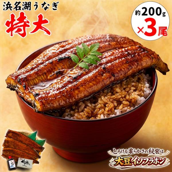 浜名湖うなぎ蒲焼き 特大200g×3本ギフト【送料無料】 浜名湖産　国内産 静岡県産 昔ながら 本格 高級 グルメ 誕生日プレゼント 父の日　お中元　暑中お見舞い　残暑お見舞い　敬老の日　お歳暮