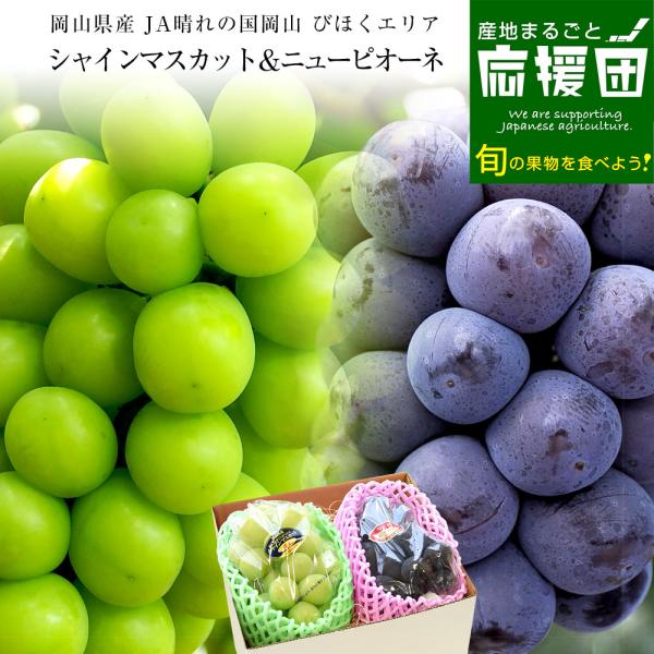 【発売日：2026年09月15日】東京都大田市場より発送します名称：ぶどう（シャインマスカット1房、ニューピオーネ1房）産地：岡山県内容量：合計約1.2キロ（600g×各種1房）大人気ぶどう2種セットをお届けします。とっても甘くて種なし、丸...