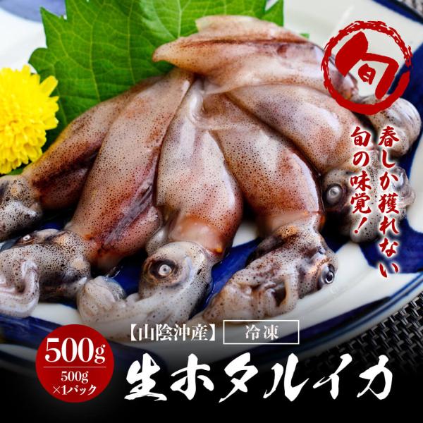 【お得な家庭用サイズ 中容量 500gパック】山陰地方に春の訪れを告げるホタルイカ。春しか獲れない旬の味覚、山陰沖で漁獲した鮮度抜群の生ホタルイカを急速冷凍でお届けします。ぷりっとした食べ応え、口の中に広がる海の旨みと香り…一度食べるとやみ...