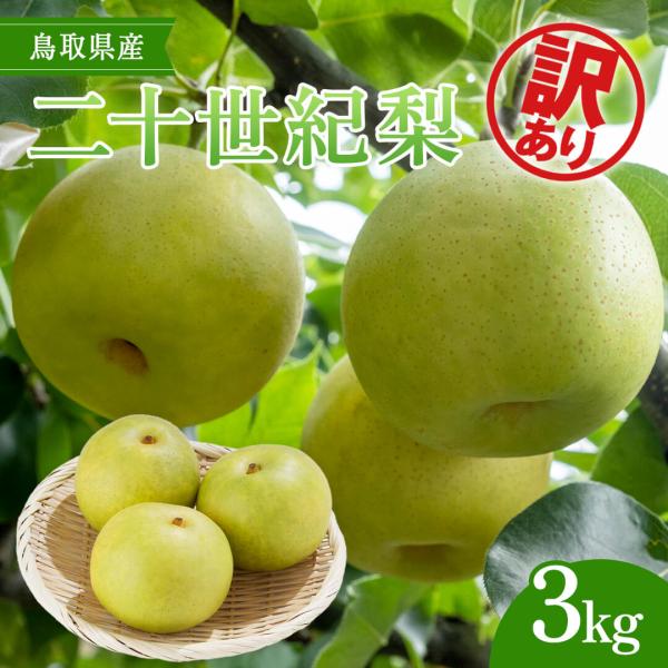 【発売日：2026年09月01日】鳥取県の特産品で有名な「二十世紀梨」。100年以上も栽培され、青梨の代表品種として長く愛され続けています。見た目は透き通るような淡い黄緑色！一口食べれば、さわやかな甘さでジューシーな果汁がほとばしります?ま...