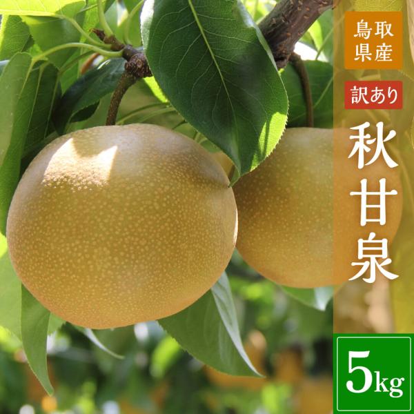 【発売日：2026年09月30日】
