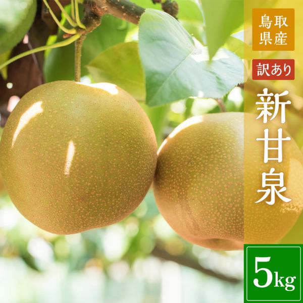 【発売日：2026年09月19日】