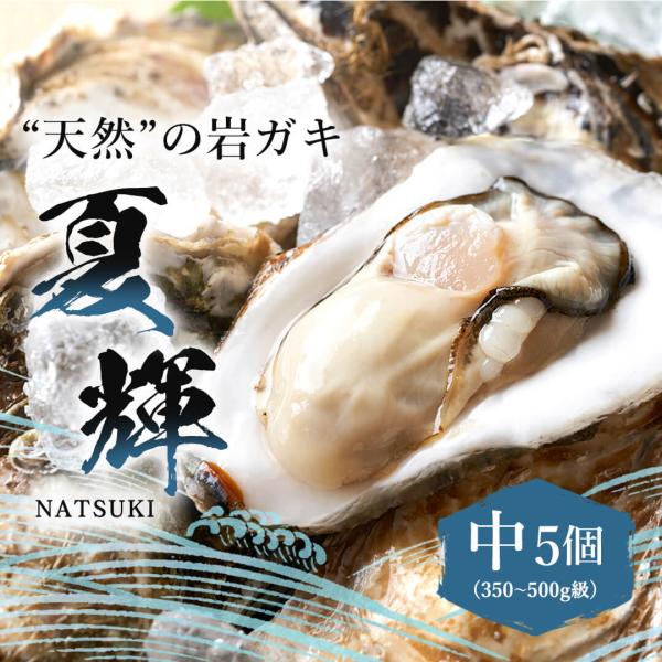 鳥取の夏の味覚！天然岩牡蠣「夏輝」♪鳥取県産ブランドの夏輝には、「鳥取の夏の海のように輝きを放つ天然の岩ガキ」という意味が込められています。ぷりぷりで濃厚な旨味をご堪能ください。※お盆に近づくにつれて岩牡蠣のミルクが抜けてくるため、牡蠣本来...