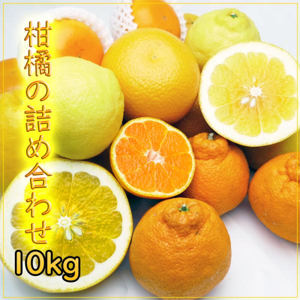 【発売日：2026年01月13日】［産直あきんど］今年一押しの四国の柑橘たち！柑橘王国より産地直送で！四国で生産される今が旬の柑橘類を中心に箱一杯に詰め込んでお届け致します。　せとか、小原紅早生みかん、デコポン、はるみ、温州みかん、はれひめ...