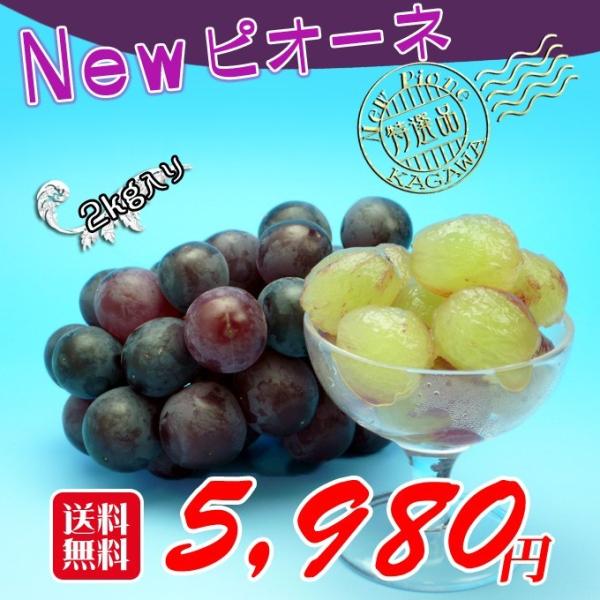 【発売日：2026年08月05日】ニューピオーネは、巨峰にマスカットを交配して出来上がったピオーネにさらに改良を加えて完成した種無しのぶどうです。その果実は巨峰よりも大きく、大きいものでピンポン玉位になります。濃厚な甘味で、ぶどう好きにはた...