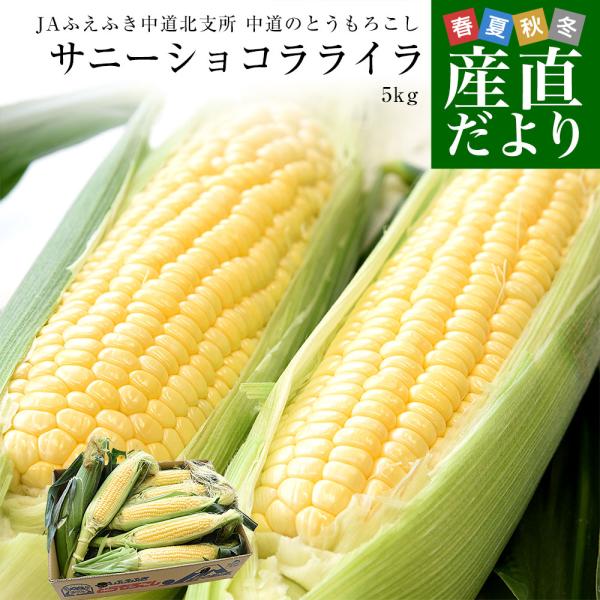 山梨県JAふえふきから産地直送します。商品名：とうもろこし（サニーショコラライラ）原産地：山梨県内容量：約5キロ 12本入り山梨県の甲府市、甲府盆地に位置するJAふえふき中道北支所。大きな寒暖差が育てたサニーショコラライラは、粒皮が驚くほど...