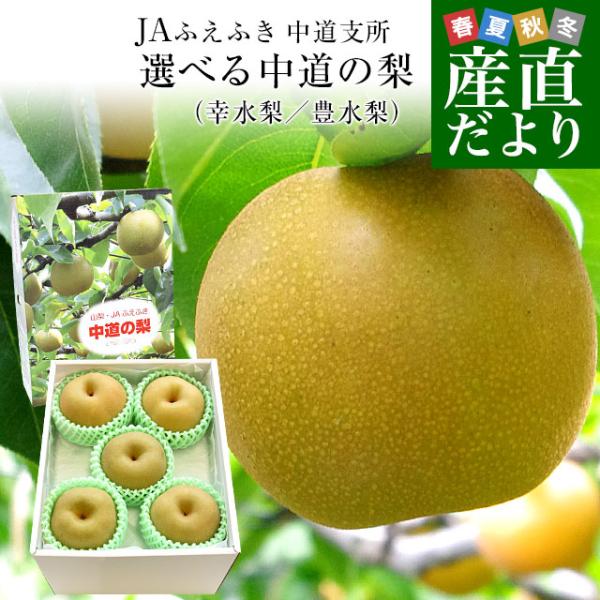 【発売日：2026年07月15日】山梨県JAふえふきから産地直送します。商品名：中道の梨（幸水梨／豊水梨）青秀品産地：山梨県内容量：約2キロ（5玉から6玉）山梨県内有数の梨の産地、JAふえふき中道地区から！幸水梨か豊水梨、お好きな品種をお届...