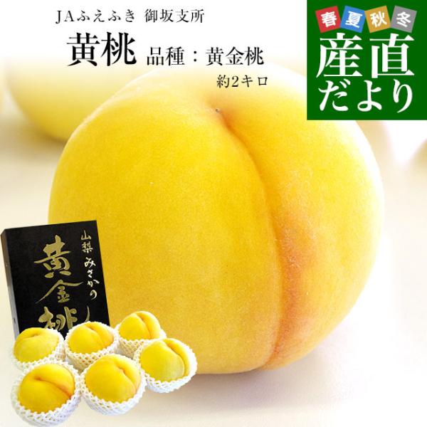 【発売日：2026年06月15日】山梨県JAふえふき御坂支所より産地直送いたします。商品名：桃（黄金桃）原産地：山梨県内容量：約2キロ（6玉から7玉）桃どころ山梨の希少な極上桃「黄金桃」。色鮮やかな黄色い果肉と、まるでトロピカルフルーツのよ...