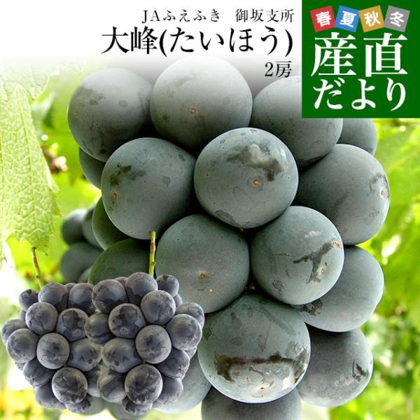 【発売日：2026年07月01日】東京大田市場から発送いたします。商品名：大峰（たいほう）産地：山梨県産内容量：約1.2キロ（2房入り）山梨県JA御坂西支所の高級ぶどう。黒ぶどうの中でも有名な品種、藤稔の中から厳しい基準をクリアし、選ばれた...