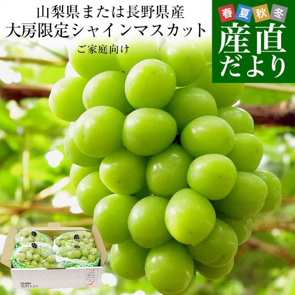 東京大田市場より発送致します。商品名：ぶどう（シャインマスカット）産地：山梨県産または長野県産内容量：2.2キロから2.4キロ（大4房）衝撃の超盛企画！！大ボリューム4房でお届けします！！一度食べたらほとんどの方がファンになる、とっても甘く...