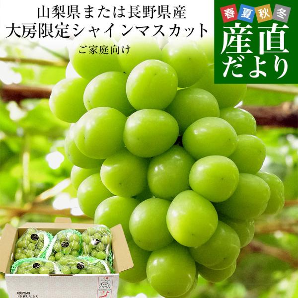 東京大田市場より発送致します。商品名：ぶどう（シャインマスカット）産地：山梨県産または長野県産内容量：2.75キロから3キロ（大5房）衝撃の超盛企画！！圧巻の超大盛！大ボリューム5房でお届けします！一度食べたらほとんどの方がファンになる、と...