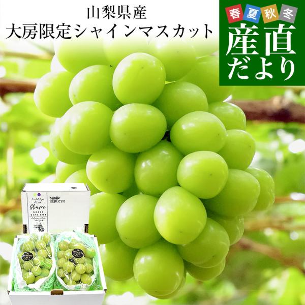 【発売日：2026年08月01日】東京都大田市場より発送します商品名：山梨県産　大房シャインマスカット原産地：山梨県内容量：2房（1.1キロから1.2キロ前後）ひと粒ひと粒がまるで宝石のように輝き、口いっぱいに広がる爽やかな甘みが抜群です。...