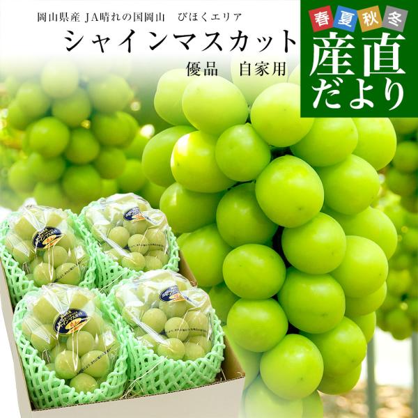 【発売日：2026年09月15日】東京都大田市場より発送します。商品名：シャインマスカット「晴王」産地：岡山県内容量：約2.4キロ（約600g×4房）人気のシャインマスカット・自家用向けに大容量で大奉仕！ お届けするシャインマスカットは、優...
