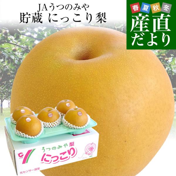 【発売日：2026年10月15日】栃木県JAうつのみやより産地直送します。商品名：梨（貯蔵 にっこり梨）産地：栃木県重量：約5キロ（5玉から7玉）※1玉ずつ個包装でお届け“梨の革命”と呼ばれる1キロ前後の巨大梨！大きいものだと1キロを超える...