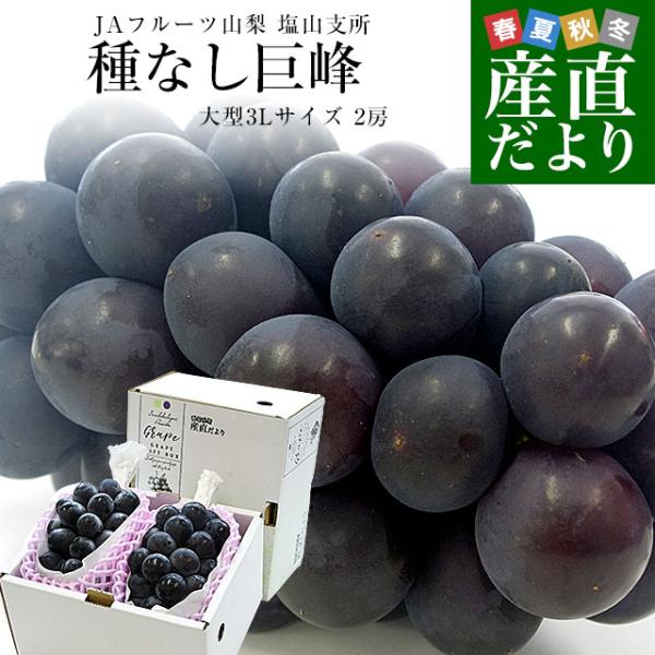 【発売日：2026年07月15日】東京都大田市場より発送いたします。商品名：種なし巨峰原産地：山梨県内容量：1キロ以上(2房入り)大型サイズの種なし巨峰！ぶどう好きには是非おすすめしたい、美味なブドウです。味と風味が濃く、甘味と酸味のバラン...