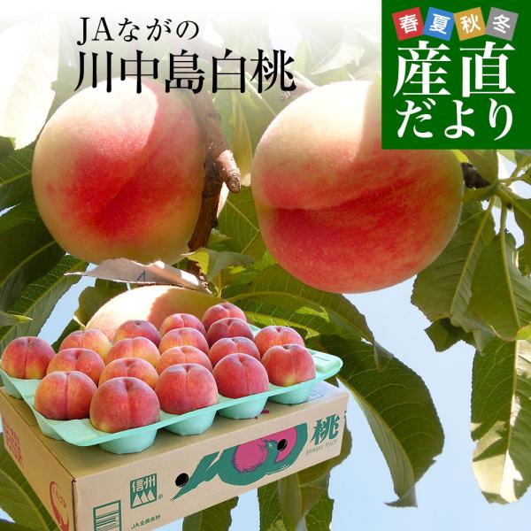 長野県JAながのより産地直送します。商品名：桃（川中島白桃）産地：長野県内容量：約5キロ（13玉から18玉）きれいな空気・おいしい水・太陽の光。大地の恵みをいっぱい浴びた、濃厚で甘み豊かな飯綱町の桃をご堪能ください。＜商品の規格・重量などに...