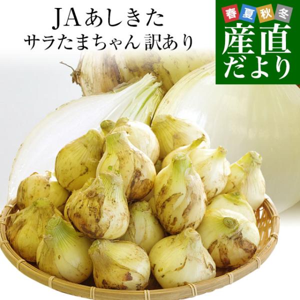 熊本県JAあしきたより産地直送します。名称:たまねぎ(サラたまちゃん)原産地:熊本県重量:約5キロ水にさらさず生で美味しく!良質な風土から生まれた!奇跡のたまねぎ！サラたまちゃんは、辛みが少なく、みずみずしいタマネギ。生で、水にさらさず食べ...
