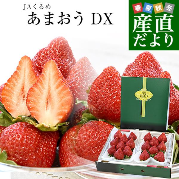 福岡県JAくるめより産地直送いたします。商品名：あまおう原産地：福岡県内容量：約540g（270g×2入り）計12粒から24粒JAくるめ×産直だよりだけのオリジナル企画！あかい・まるい・おおきい・うまい！農家さん達が求める、苺の傑作品「あま...