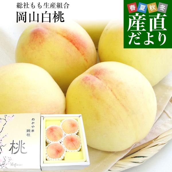 【発売日：2026年06月01日】総社もも生産組合より産地直送します。商品名：岡山白桃 産地：岡山県内容量：約1キロ（3玉から6玉）青秀以上温暖な気候と、水はけのよい丘陵地、そしてたっぷりの太陽の恵みを受けて、ひとつひとつ丁寧に育てられてい...