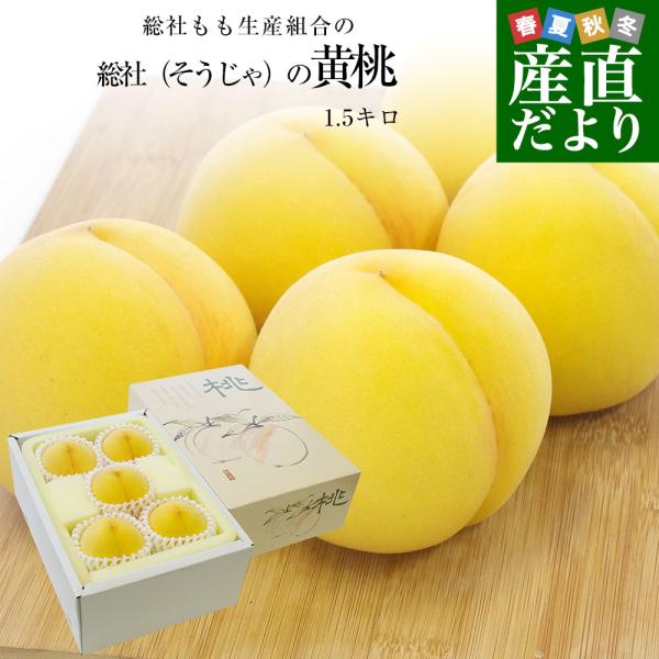【発売日：2026年08月01日】総社もも生産組合より産地直送します。商品名：岡山の黄桃「黄ららのきわみ」産地：岡山県内容量：1.5キロ前後（4玉から6玉）青秀以上太陽の光をたっぷりと浴びて育った黄桃は、鮮やかな黄金色と豊かな香りが特長。ひ...