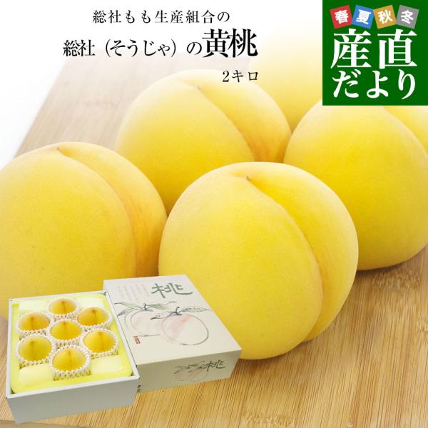 【発売日：2026年08月01日】総社もも生産組合より産地直送します。商品名：岡山の黄桃「黄ららのきわみ」産地：岡山県内容量：2キロ前後（5玉から8玉）青秀以上太陽の光をたっぷりと浴びて育った黄桃は、鮮やかな黄金色と豊かな香りが特長。ひとた...