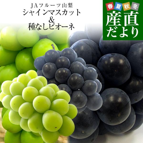 山梨県JAフルーツ山梨より産地直送します。商品名：ぶどう（シャイン1房　ピオーネ1房）産地：山梨県内容量：約550g×2房大人気ぶどう2種セットをお届けします。とっても甘くて種なし、丸ごと食べられる「シャインマスカット」と、大粒の果粒に甘い...