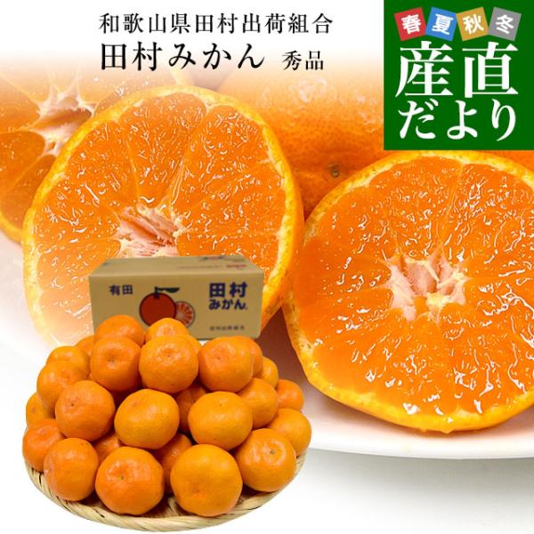 和歌山県田村出荷組合から産地直送します。商品名：温州みかん内容量：5キロ（40玉から60玉前後）産地：和歌山県太陽と黒潮の恵みを存分に受けた恵まれた環境の中で、味わいにこだわるみかん栽培のプロ集団「田村出荷組合」。果汁がたっぷりで甘みが濃い...