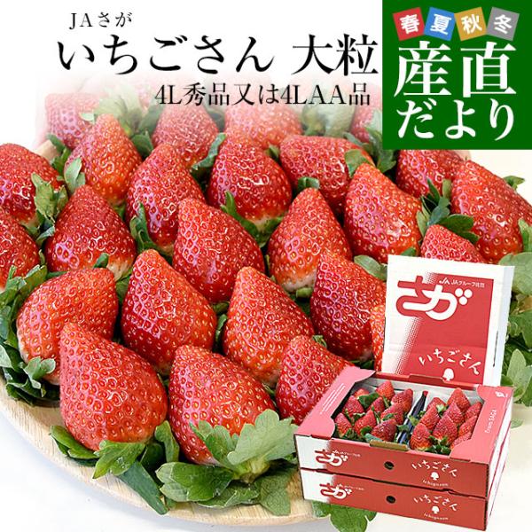 佐賀県JAさがより産地直送します。商品名：いちご内容量：1キロ前後（約250g×4入り）（計28粒から36粒入り）産地：佐賀県JAさが×産直だよりだけのオリジナル規格！厳選された鮮度抜群の大粒いちごを、佐賀県から直送でお届けします！赤く艶や...