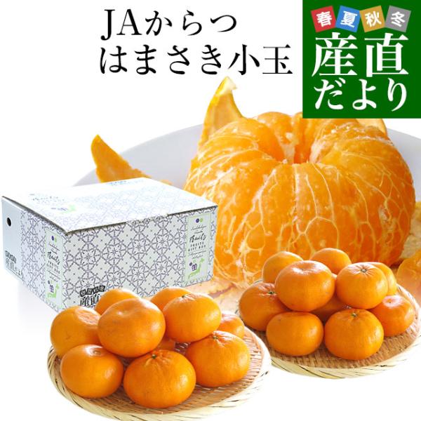 【発売日：2026年01月15日】東京都大田市場から発送します。商品名：はまさき　小玉内容量：約2.5キロ（20から25玉前後）産地：佐賀県超極上柑橘「はまさき」果皮は柔らかくジューシーで、極上の甘さ！ 糖度は12.5度以上と豊かな甘みをま...