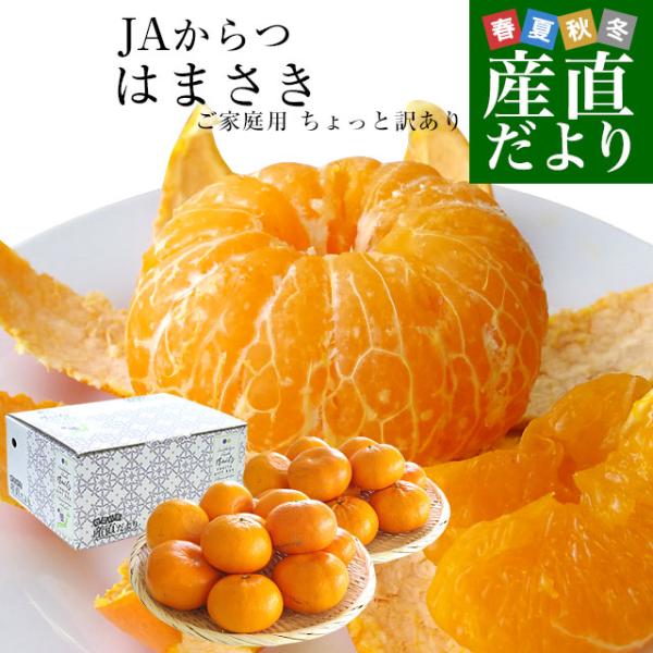 【発売日：2026年01月15日】東京都大田市場から発送します。商品名：はまさき　ご家庭用　LからMサイズ内容量：約2.5キロ（12玉から16玉前後）原産地：佐賀県超極上柑橘「はまさき」果皮は柔らかくジューシーで、極上の甘さ！ 糖度は12....