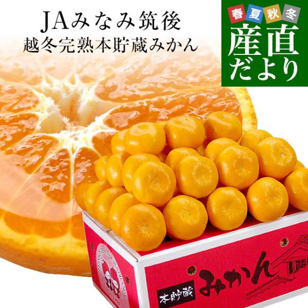 福岡県JAみなみ筑後より直送します。商品名：貯蔵みかん LからMサイズ内容量：5キロ（40玉から50玉前後）産地：福岡県福岡を代表する山川ミカン、その中でも越冬完熟みかんは、糖度が高く高品質なみかんです。＜商品の規格・重量などについて＞当店...
