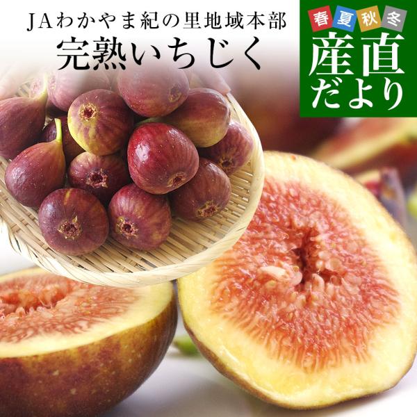 和歌山県JAわかやま紀の里地域本部より産地直送します。商品名：いちじく産地：和歌山県内容量：約300g(4玉から6玉)×4P秋の風物詩をお届けします。紀の里のいちじくは、赤褐色に輝く、ふっくらとした形状。 季節を感じる風味で、どこか懐かしさ...