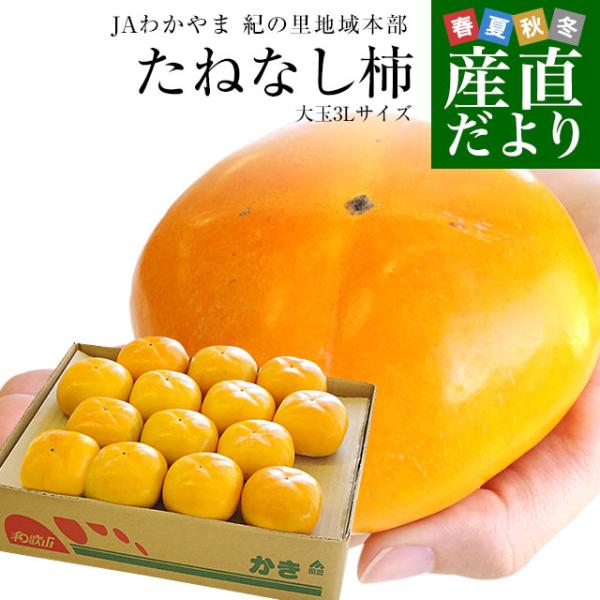 【発売日：2026年09月01日】JAわかやま紀の里地域本部より産地直送します。商品名：たねなし柿産地：和歌山県 内容量：約3.75キロ（14玉入）たくさんの柿を選別した中から厳選した、一握りの柿です。 一際甘く、ジューシー。食べ応え満点の...