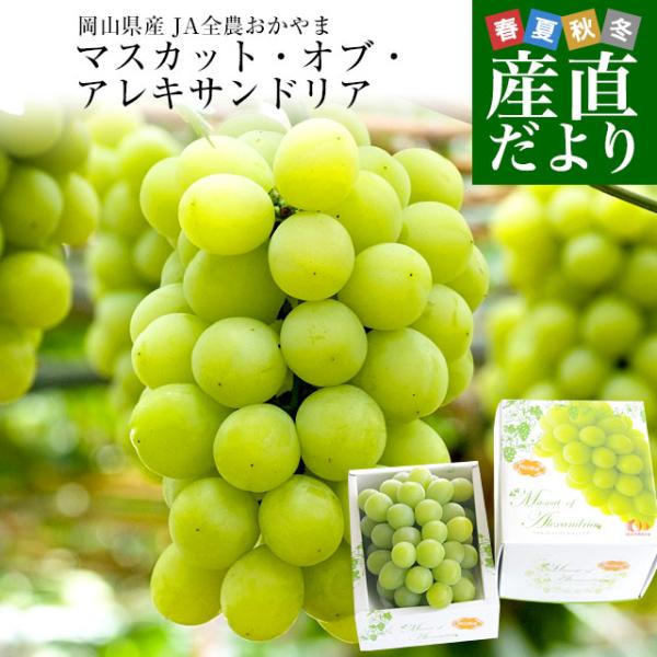 東京都大田市場から発送します。商品名：マスカット・オブ・アレキサンドリア産地：岡山県内容量：1房（600g以上）赤秀品琥珀がかった美しいエメラルドグリーン、ムスクのような香り、上品な甘さ。外観も、美味しさも兼ね備えた、まさに芸術的なぶどうで...