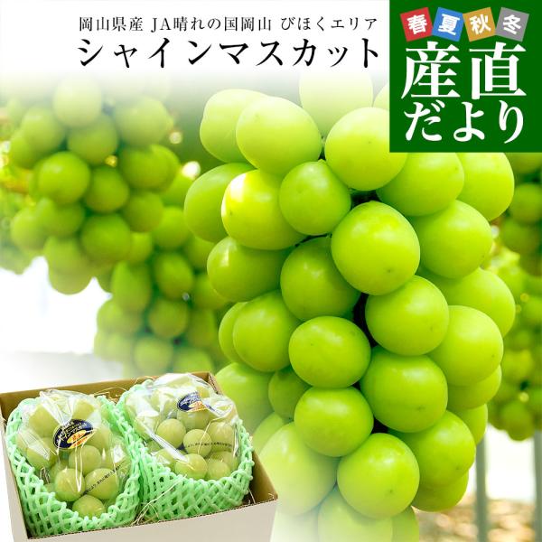 【発売日：2026年09月15日】東京都大田市場より発送します。商品名：シャインマスカット「晴王」産地：岡山県内容量：約1.2キロ（600g×2房）「晴王」は、まさに「晴れの国の王様」をイメージし、岡山県の独自基準で厳しく検査し、その名に恥...