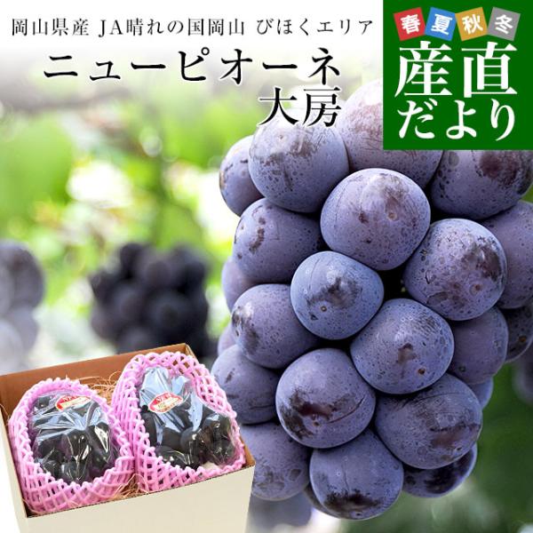 東京都大田市場より発送します。 商品名：ニューピオーネ産地：岡山県内容量：約1.2キロ（600g×2房） 気候に恵まれ「晴れの国」とも呼ばれる岡山県で作られる、大粒で種なし！ジューシーでとっても甘いぶどうが「ニューピオーネ」。岡山県の生産者...
