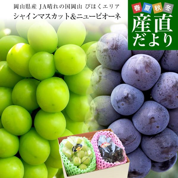 東京都大田市場より発送します名称：ぶどう（シャインマスカット1房、ニューピオーネ1房）産地：岡山県内容量：合計約1.2キロ（600g×各種1房）大人気ぶどう2種セットをお届けします。とっても甘くて種なし、丸ごと食べられる「シャインマスカット...