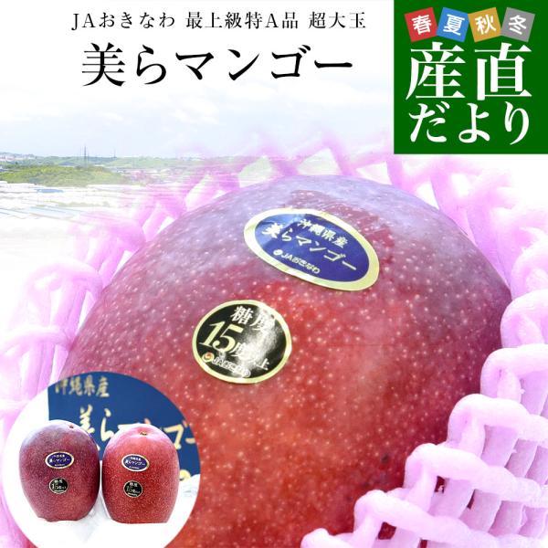 【発売日：2026年06月01日】沖縄県JAおきなわより産地直送します商品名：美らマンゴー内容量：1キロ前後 (2玉入)原産地：沖縄県市場流通がほとんどない、幻の逸品「美らマンゴー」。糖度15度以上、色目が10分色、サイズが3L以上という非...