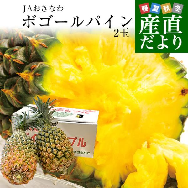 沖縄県JAおきなわより産地直送します。商品名：ボゴールパイン産地：沖縄県内容量：2.4キロ前後　（約1.2キロ×2玉）一般的なパイナップルとはひと味違う、酸味を抑えた濃厚な甘みで口に入れた瞬間、じゅわっと広がる果汁と、とろけるようなやわらか...