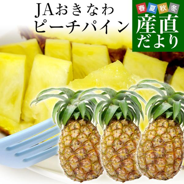 沖縄県JAおきなわより産地直送します。商品名:パイナップル(ピーチパイン3玉)内容量:約1.8キロ(約600g×3玉)産地:沖縄県沖縄生まれのパイナップル、完熟した実から桃の香りがすることから、ピーチパインと呼ばれるようになりました。収穫時...
