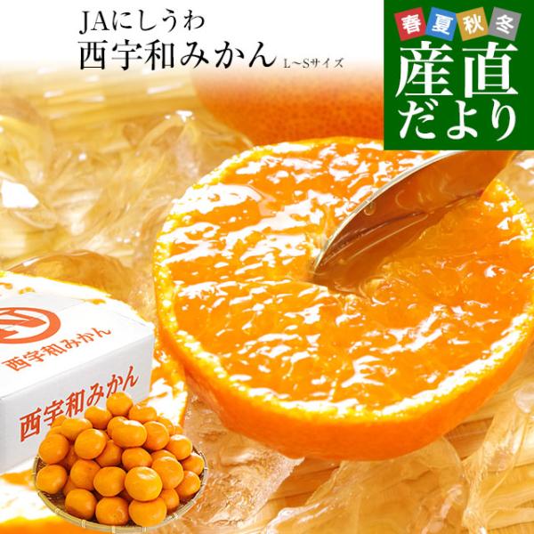 愛媛県JAにしうわより産地直送します。 商品名：温州みかん 産地：愛媛県 内容量：約5キロ（40玉から60玉前後） JAにしうわが誇る10の共選場より、時期に合わせた一番のベスト産地から発送いたします。しっかりと産地認証されたブランドみかん...