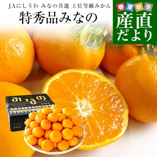 愛媛県JAにしうわ みなの共撰より産地直送します。商品名：上位等級みかん「特秀品みなの」産地：愛媛県内容量：約5キロ（40玉から60玉前後）JAにしうわ・みなの共選が誇る上位等級みかん「特秀品みなの」！空から、海から、石垣からたっぷりと太陽...